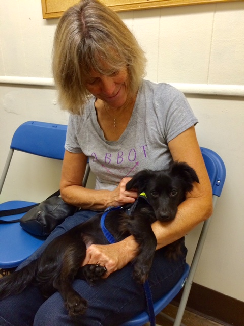 Adventures with Wally | Now Don't Get Me Wrong